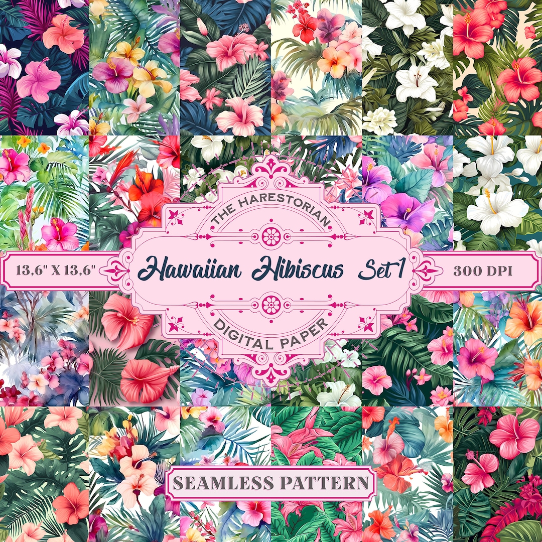 Hawaiian Hibiscus (set of 24), Tropical Flowers, Digital Art, Instant ...