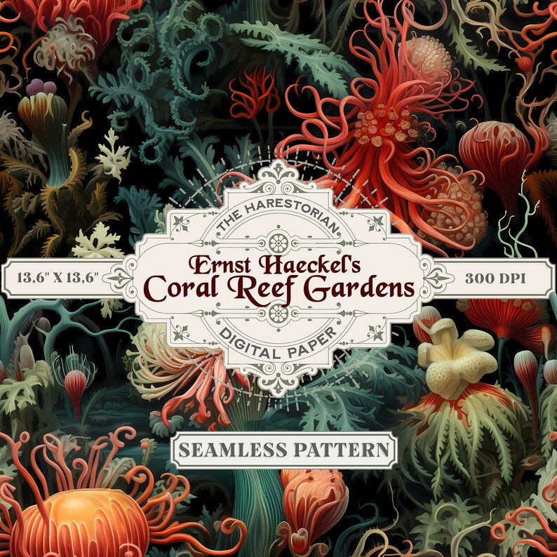 Ernst Haeckel's Coral Reef Gardens (set of 14), Art Nouveau, Digital ...