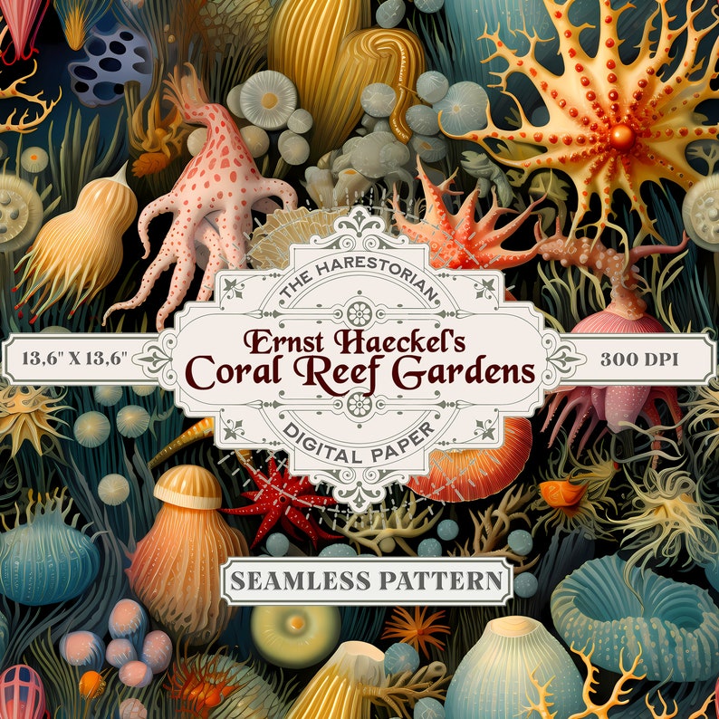 Ernst Haeckel's Coral Reef Gardens (set of 14), Art Nouveau, Digital ...