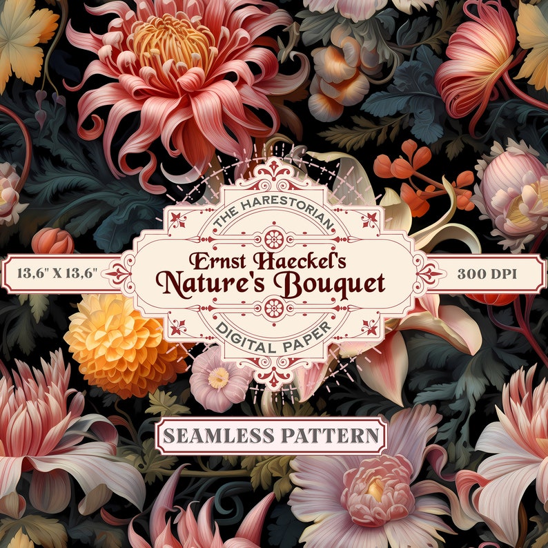 Ernst Haeckel's Nature's Bouquet set of 18, Art Nouveau, Digital Art ...
