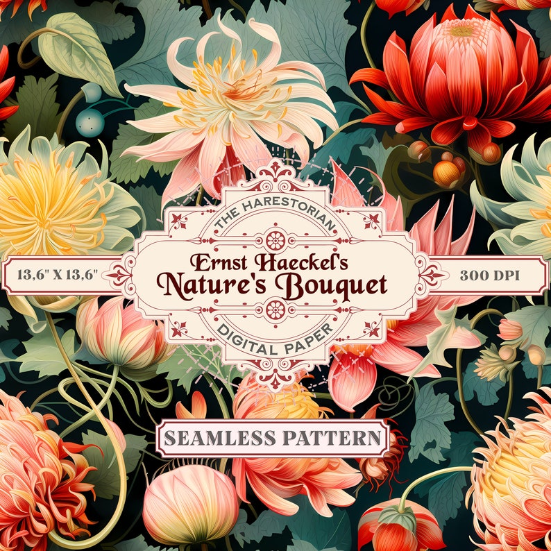 Ernst Haeckel's Nature's Bouquet set of 18, Art Nouveau, Digital Art ...
