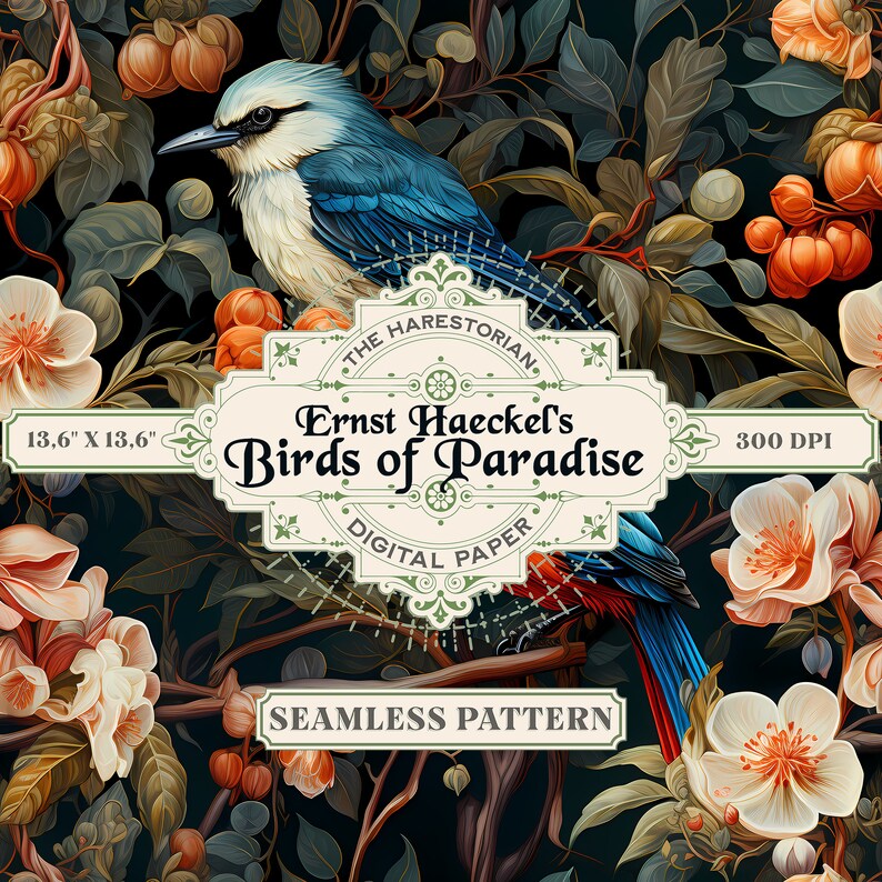 Ernst Haeckel's Birds of Paradise (set of 13), Art Nouveau, Digital Art ...