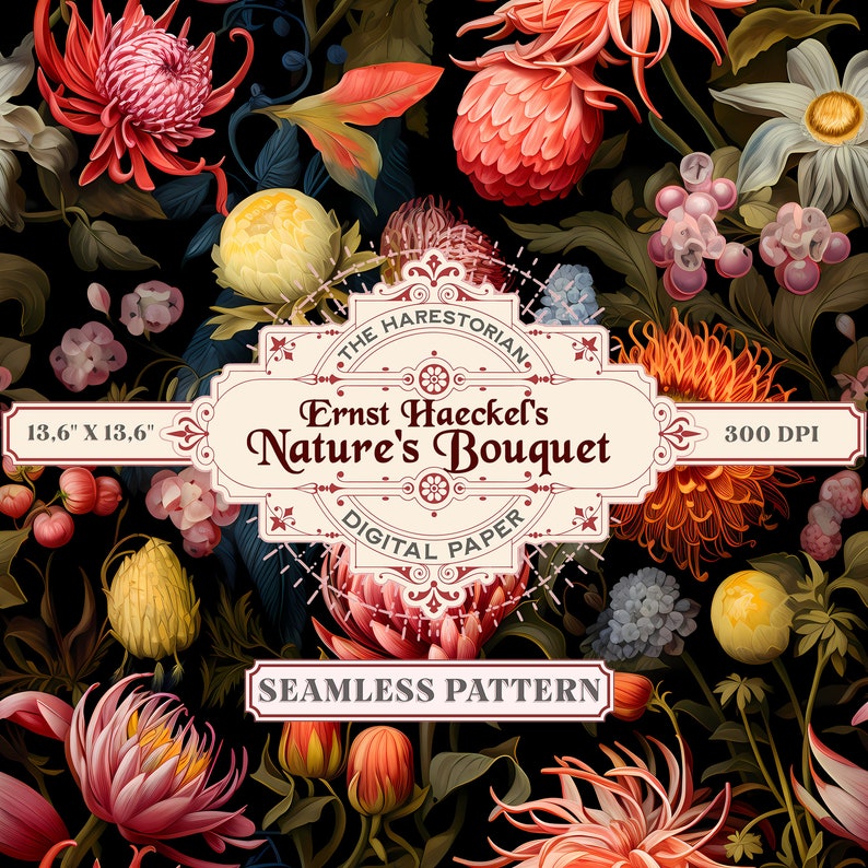 Ernst Haeckel's Nature's Bouquet (set of 18), Art Nouveau, Digital Art ...