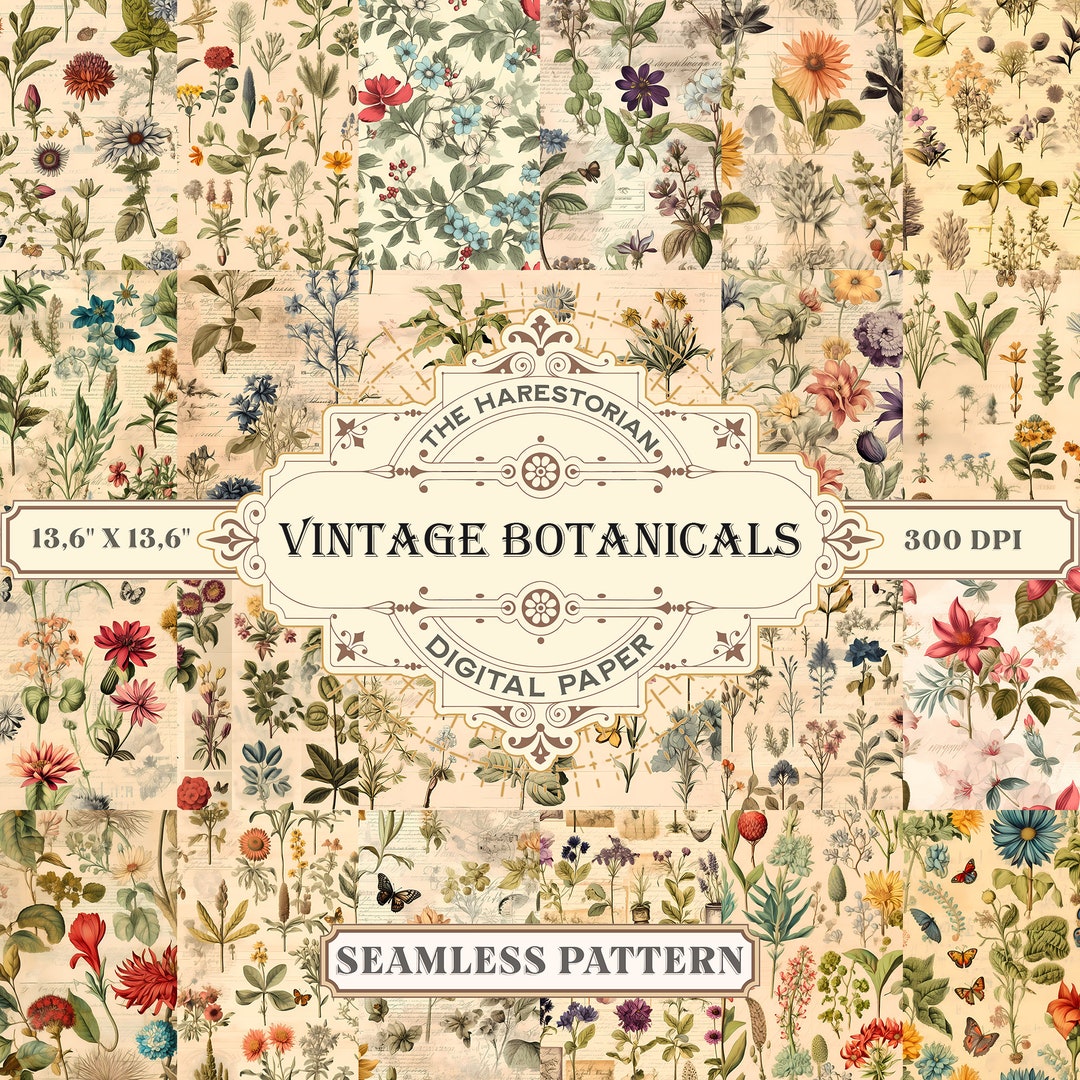 Vintage Botanicals (set of 21), Ephemera, Digital Art, Instant Download ...