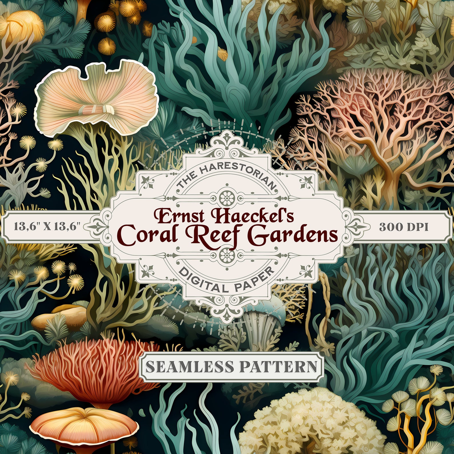 Ernst Haeckel's Coral Reef Gardens (set of 14), Art Nouveau, Digital ...