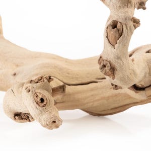 Sandblasted California Grapevine Wood Branch - Etsy