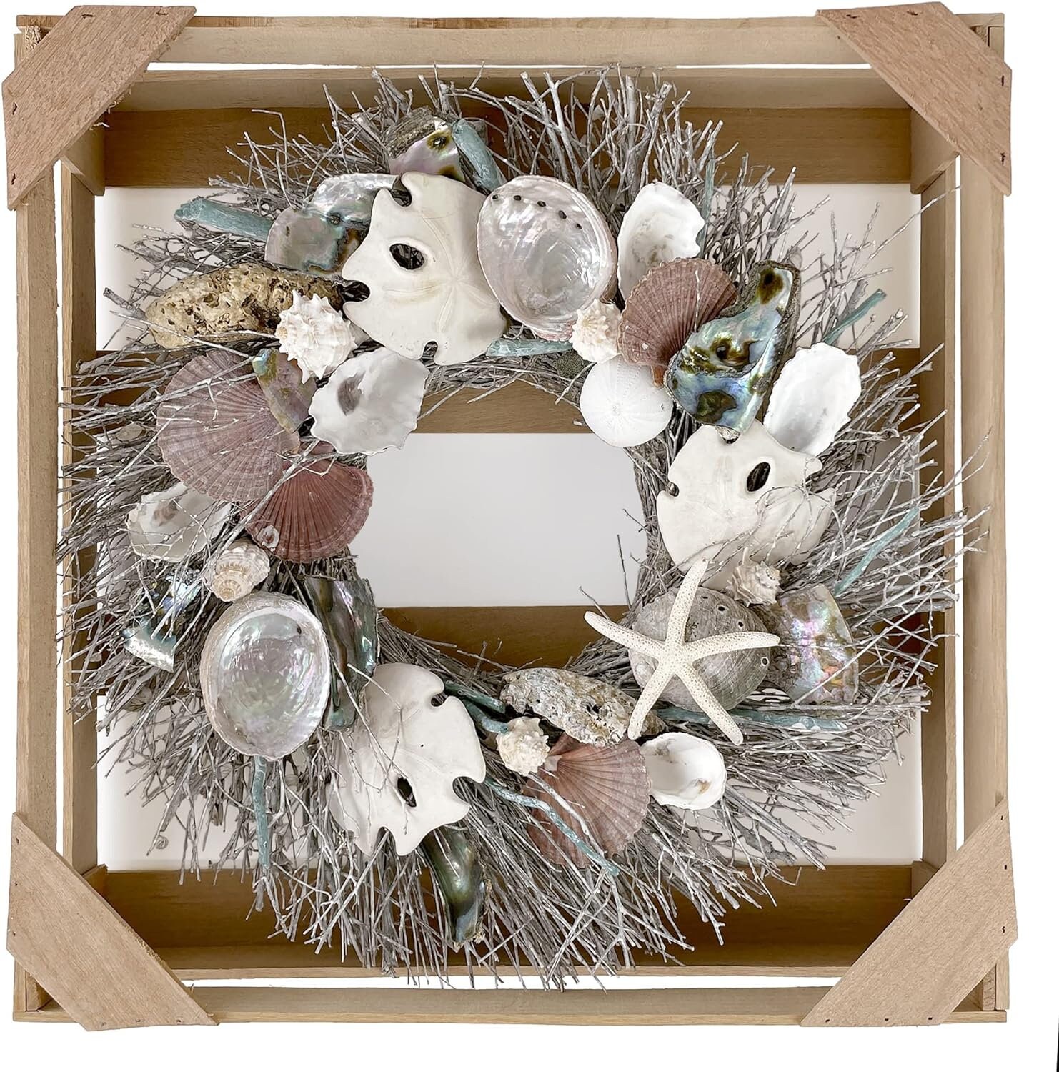 ANDALUCA Abalone Seashells & Sand Dollar Wreath - Etsy