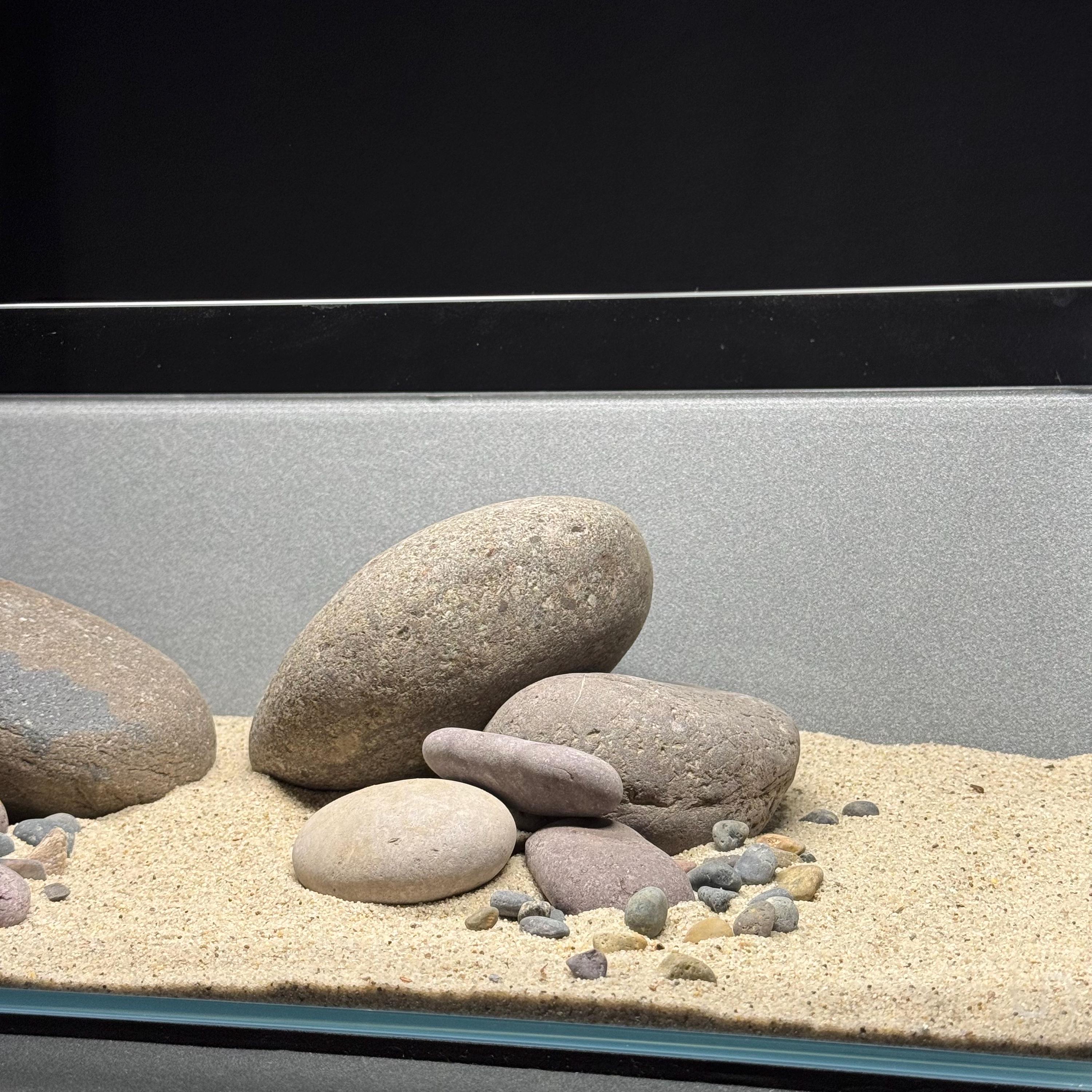 Nano Hardscape Setup: Beach Stones and Pebbles | Aquarium Aquascape ...