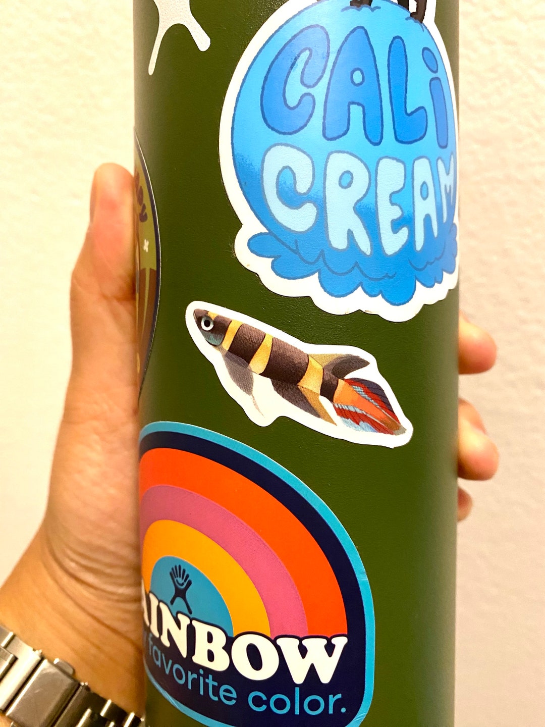 Set of 5 Clown Killifish Vinyl Sticker Banded Panchax Rocket Fish Nano ...