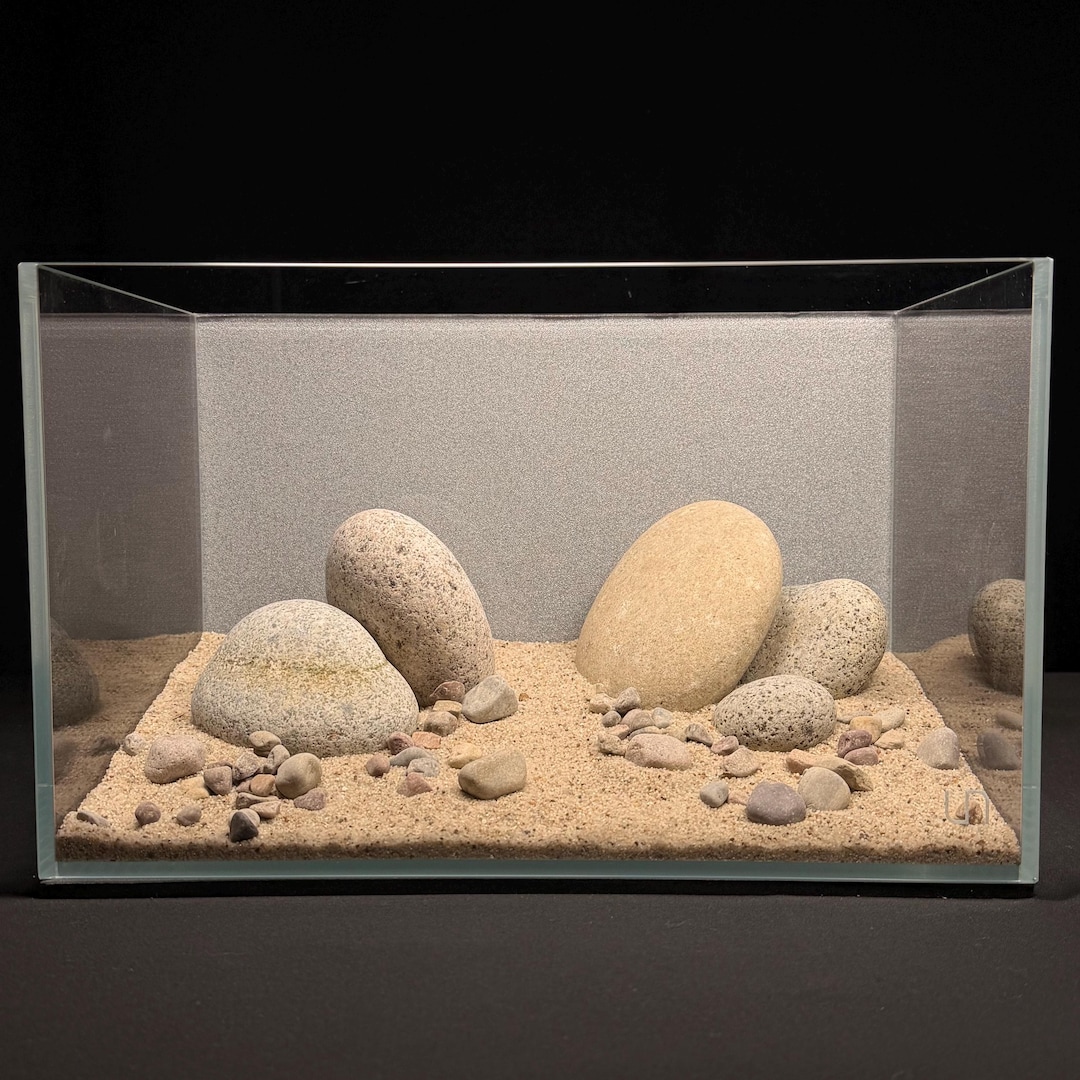 Nano Hardscape Setup: Beach Stones and Pebbles | Aquarium Aquascape ...