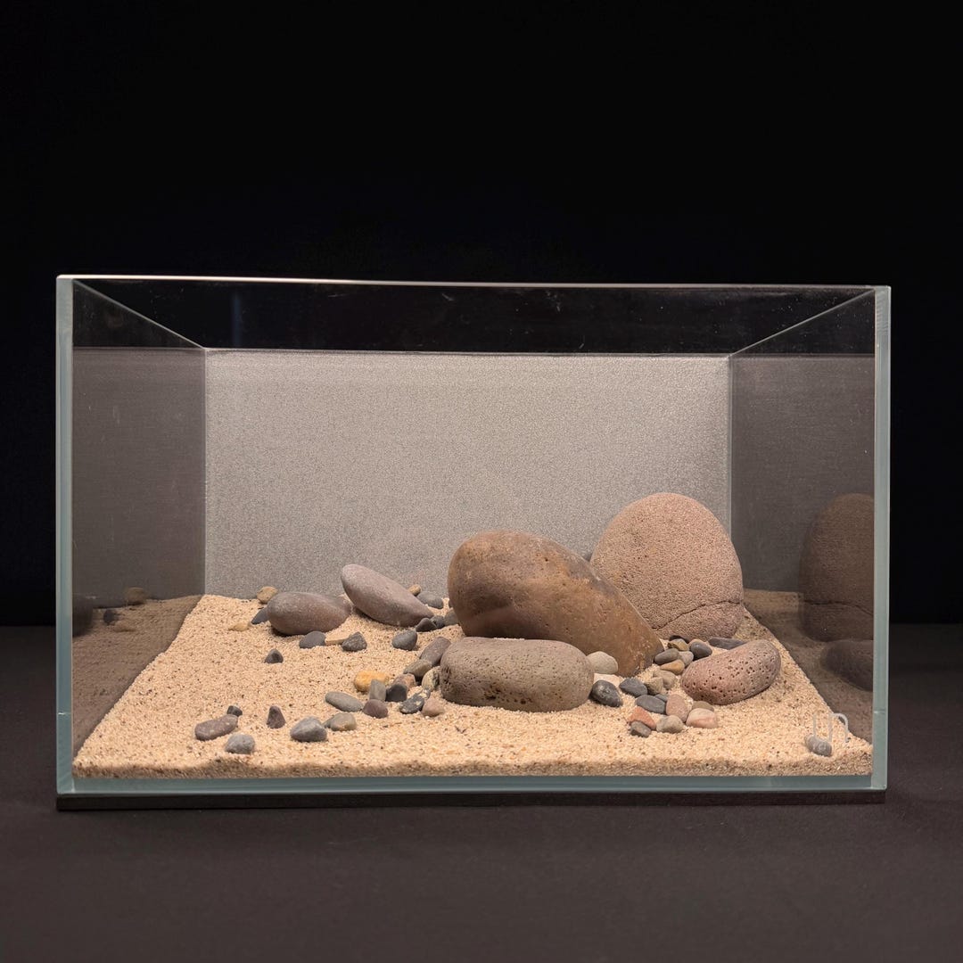 Nano Hardscape Setup: Beach Stones and Pebbles | Aquarium Aquascape ...