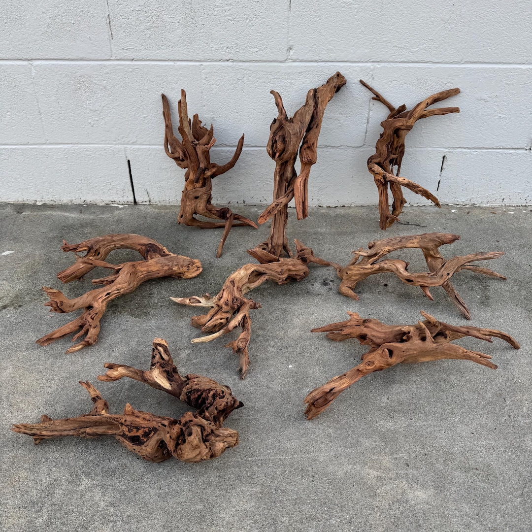 XL Nano Driftwood | Aquarium Aquascape | Malaysian Driftwood | Aquarium ...