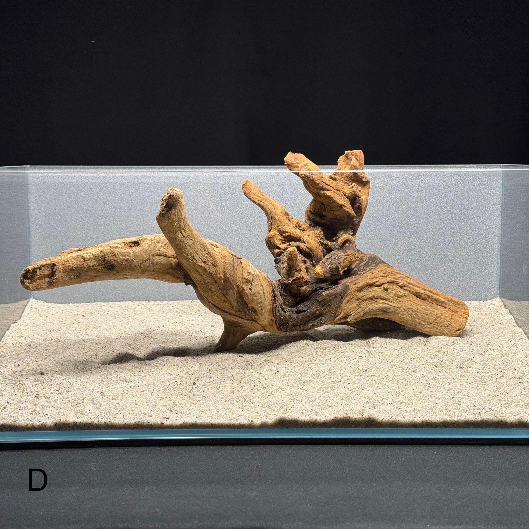 XL Nano Driftwood | Aquarium Aquascape | Malaysian Driftwood | Aquarium ...