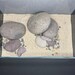 Nano Hardscape Setup: Beach Stones and Pebbles | Aquarium Aquascape ...