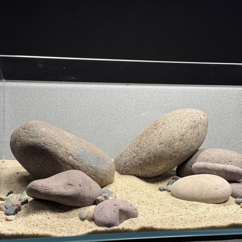 Nano Hardscape Setup: Beach Stones and Pebbles | Aquarium Aquascape ...