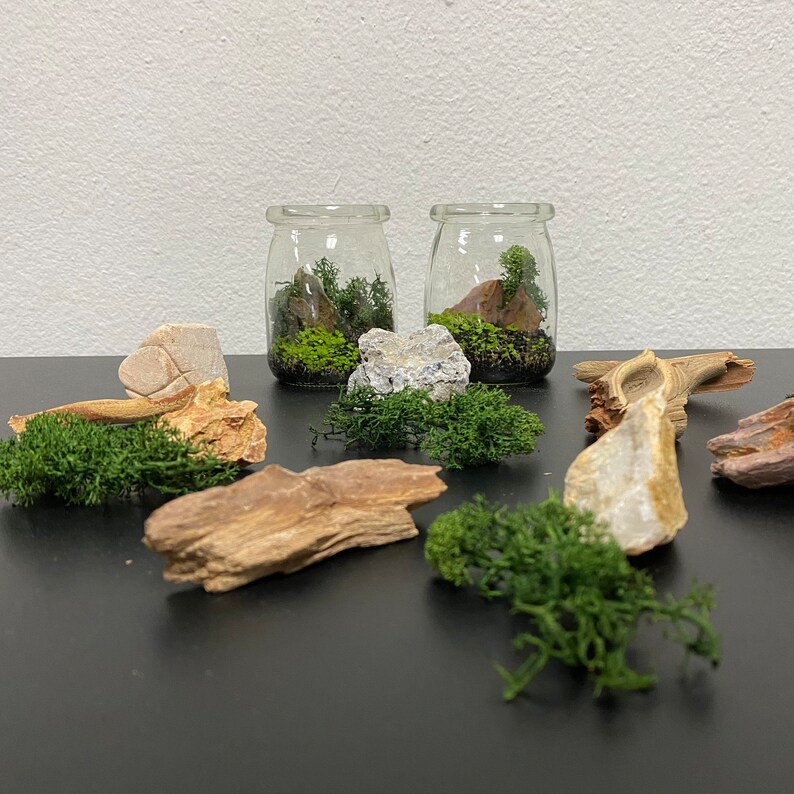 Build Your Own Micro Terrarium Kit DIY Terrarium - Etsy