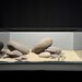 Nano Hardscape Setup: Beach Stones and Pebbles | Aquarium Aquascape ...
