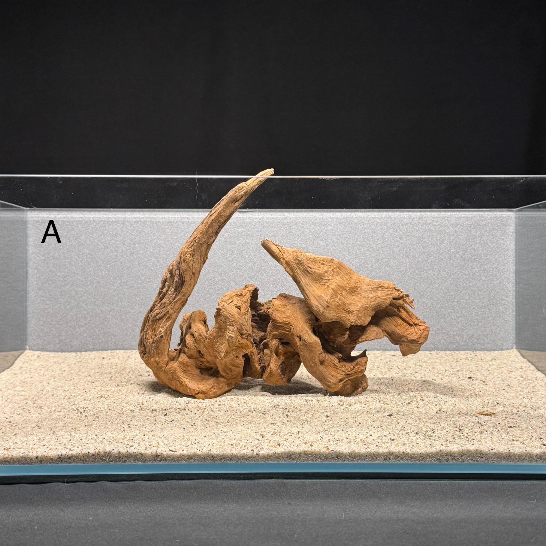 Medium Nano Root Driftwood | Aquarium Aquascape | Malaysian Driftwood | Aquarium Design | Wood ...