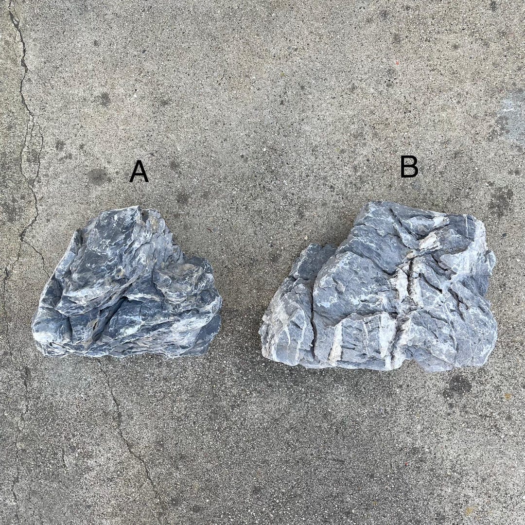 Large Seiryu Stone for Nano Tank | Iwagumi Style | Aquarium Aquascape ...