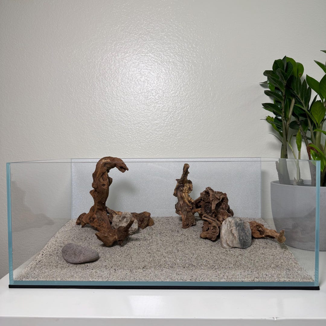 Nano Hardscape Setup: Tree Root Driftwood Stones Aquarium Aquascape ...