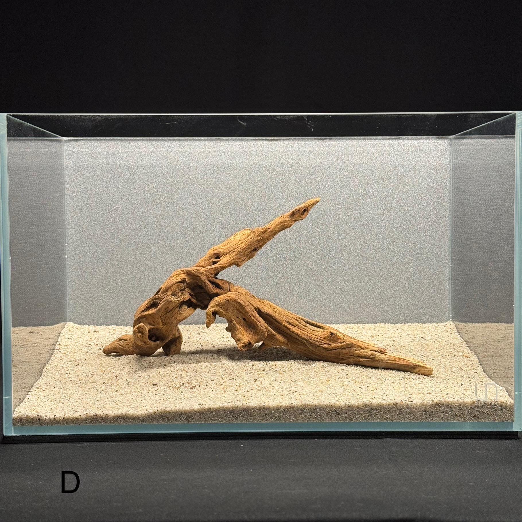 Medium Nano Root Driftwood | Aquarium Aquascape | Malaysian Driftwood ...