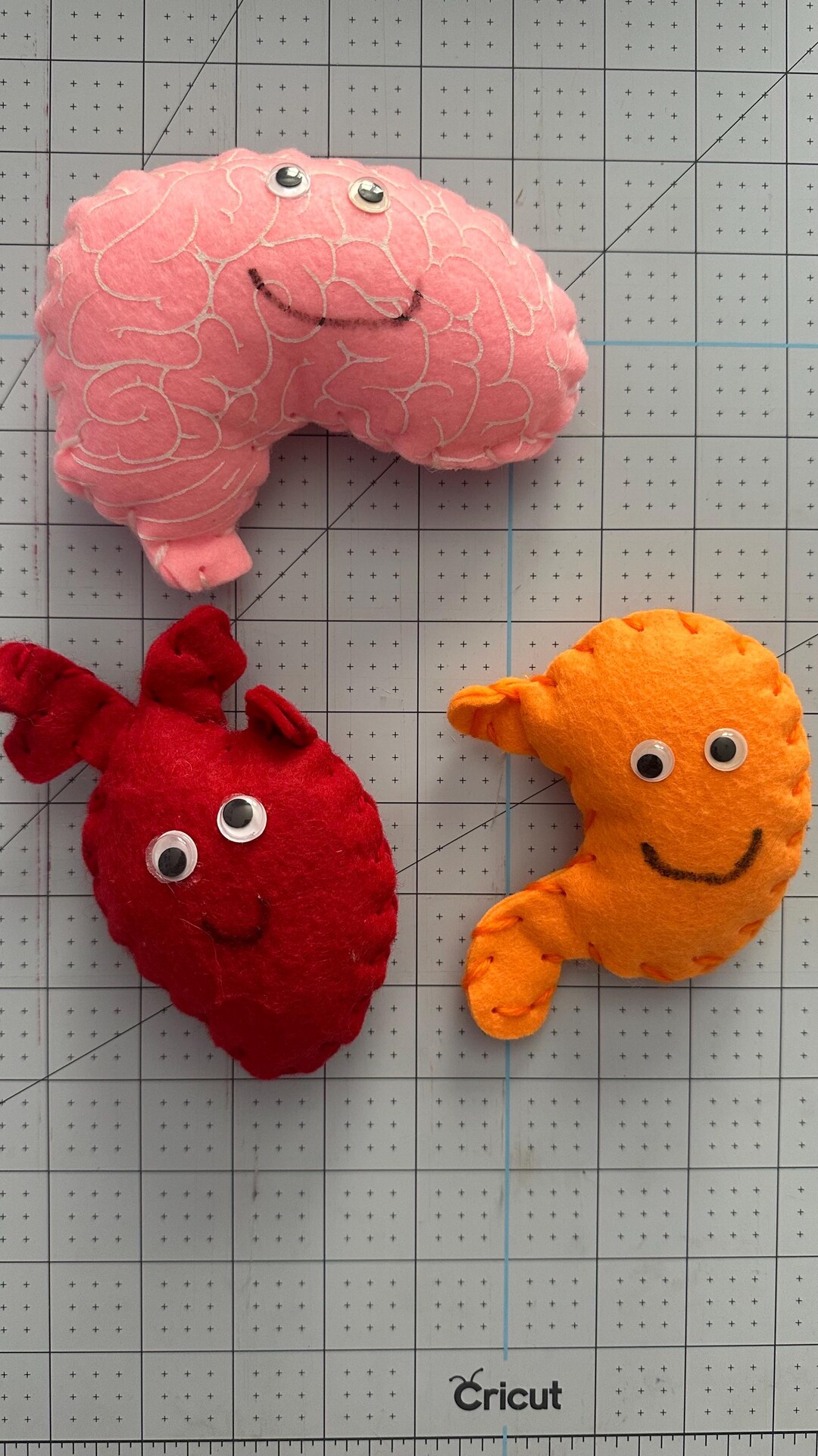 Felt Anatomy Organs - Set 2 - Brain, Heart, and Stomach - Handmade ...