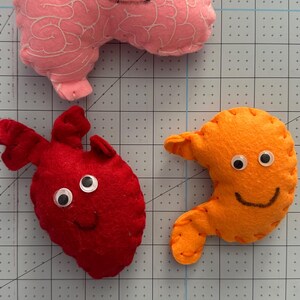 Felt Anatomy Organs - Set 2 - Brain, Heart, and Stomach - Handmade ...