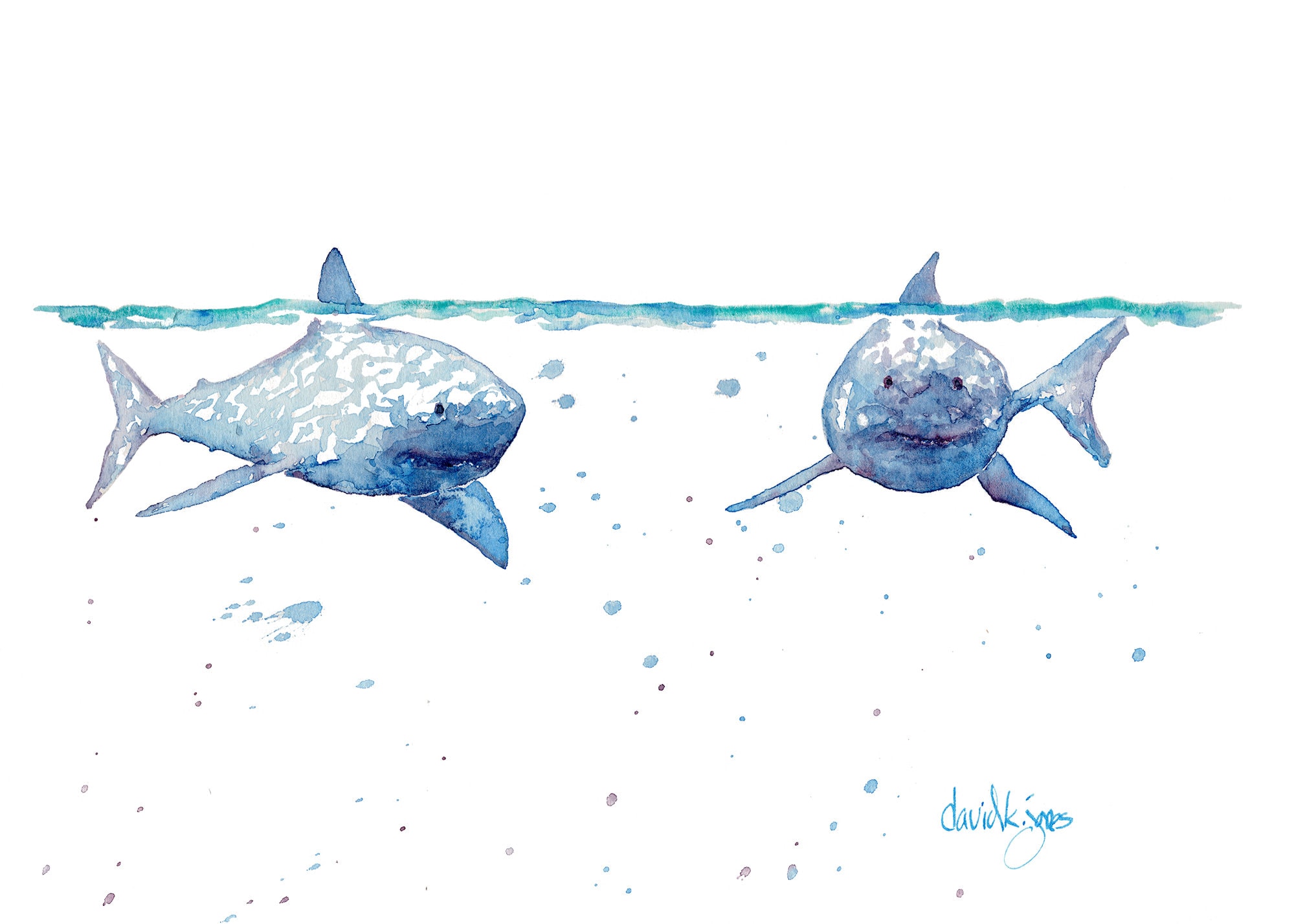 Jimmy Buffett Inspired Shark Watercolor Art Print: Sealife Wall Decor ...