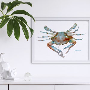 Pop-top Crab, Jimmy Buffett, Parrothead, Stepped on a Pop-top, Beach ...