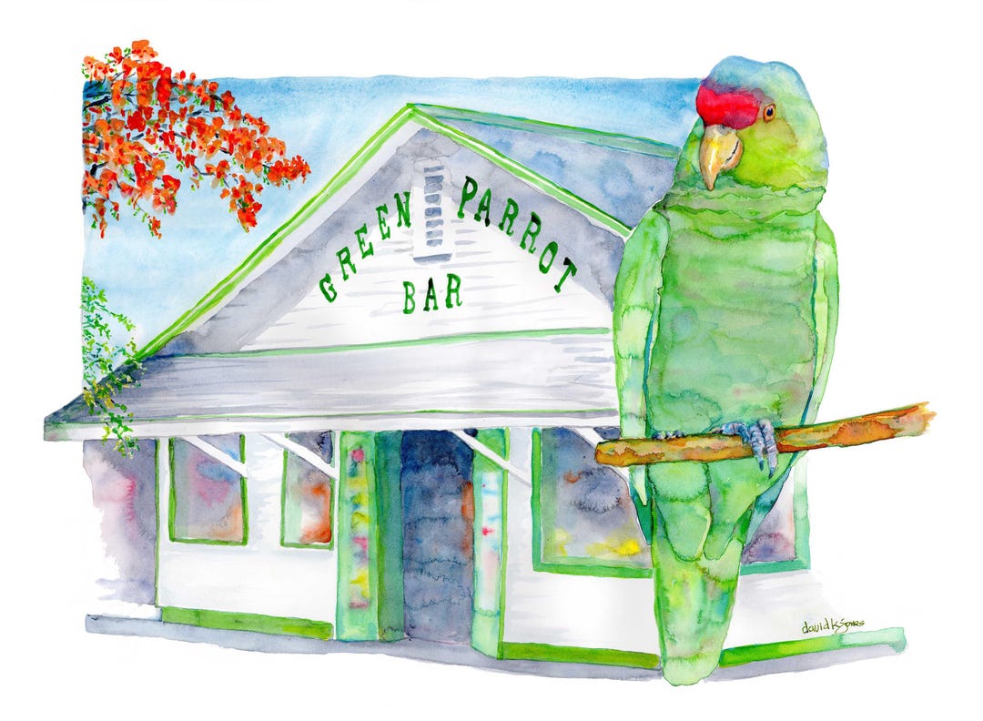 Key West Green Parrot Giclée Art Print: Tropical Island Decor - Etsy