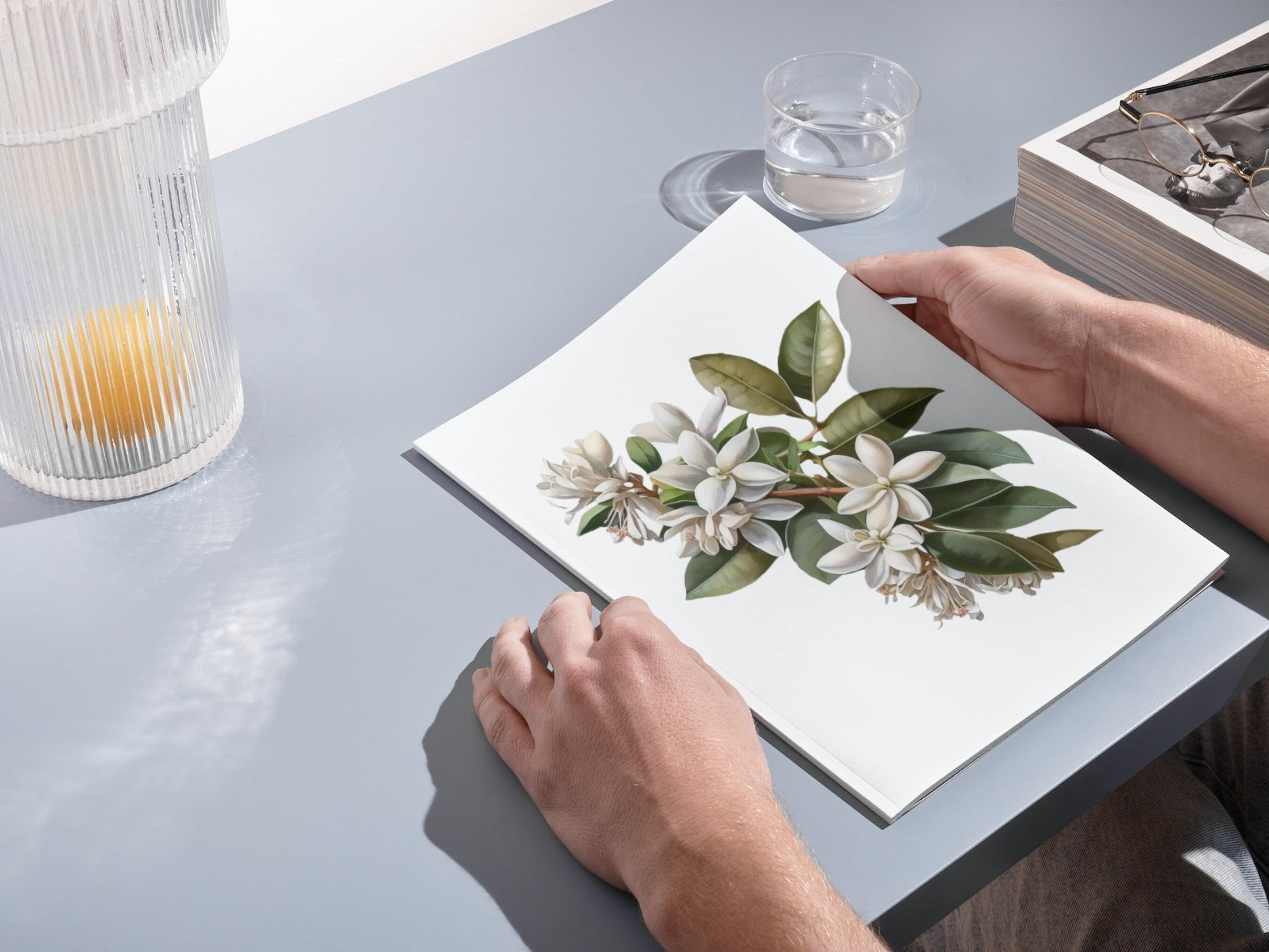 60 Watercolor Floral Clipart Collection, Transparent Background, 300 ...