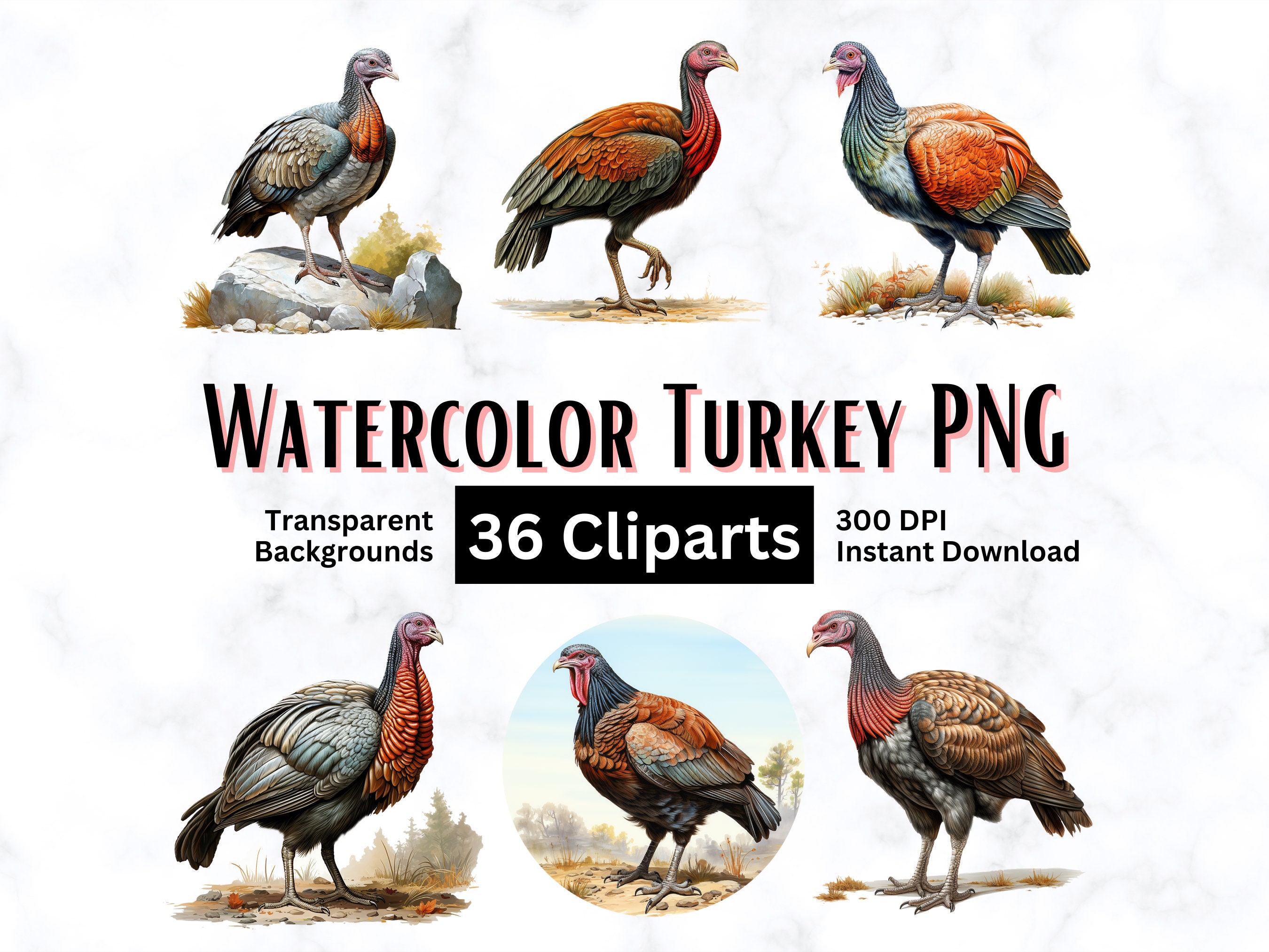 36 Watercolor Turkey Clipart Bundle High Quality Cute Turkey - Etsy