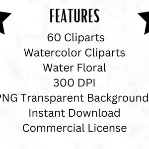 60 Watercolor Floral Clipart Collection, Transparent Background, 300 ...
