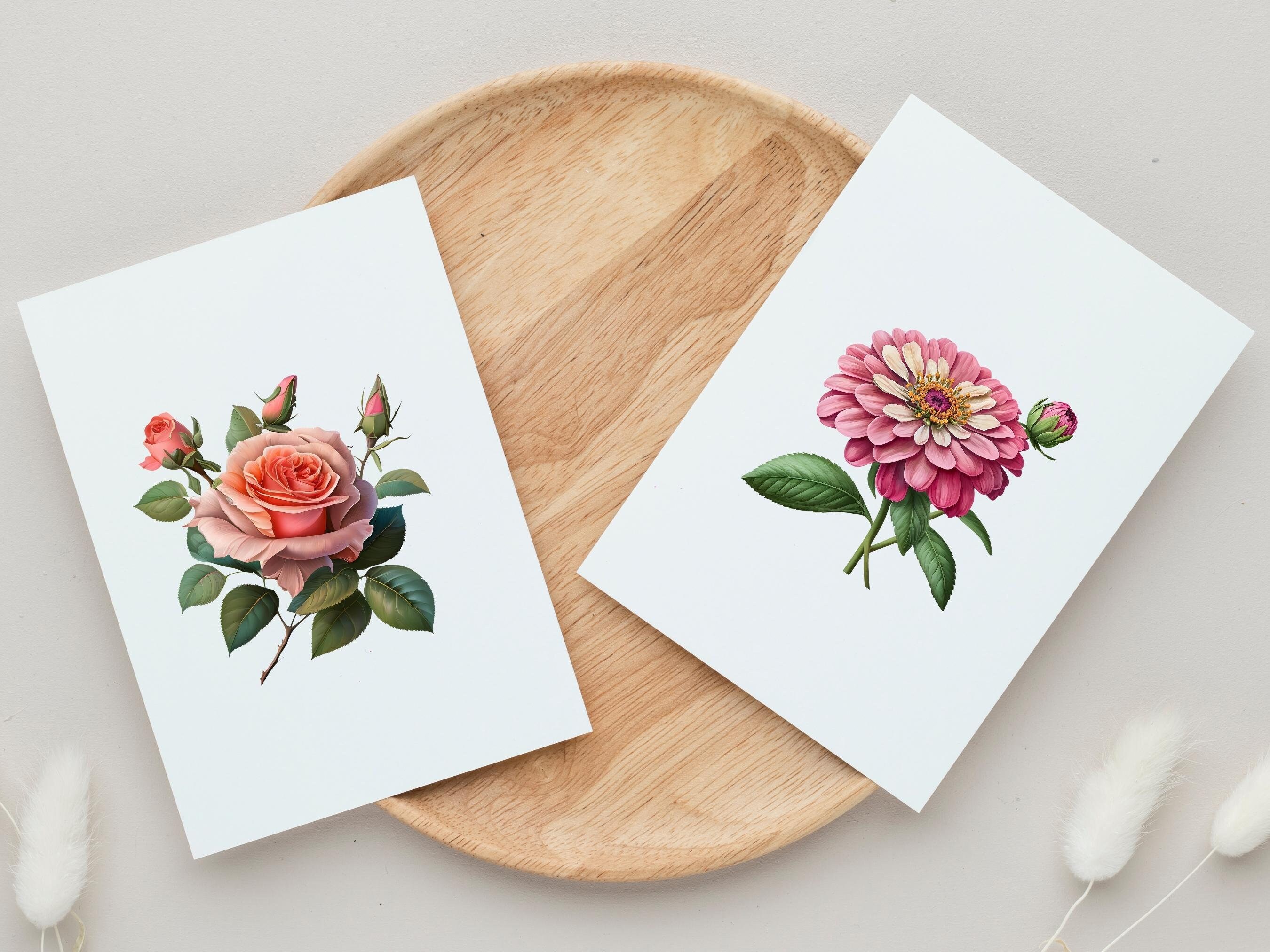 60 Watercolor Floral Clipart Collection, Transparent Background, 300 ...