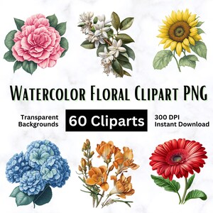 60 Watercolor Floral Clipart Collection, Transparent Background, 300 ...