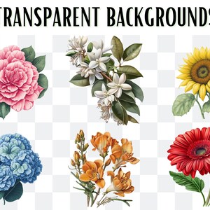 60 Watercolor Floral Clipart Collection, Transparent Background, 300 ...