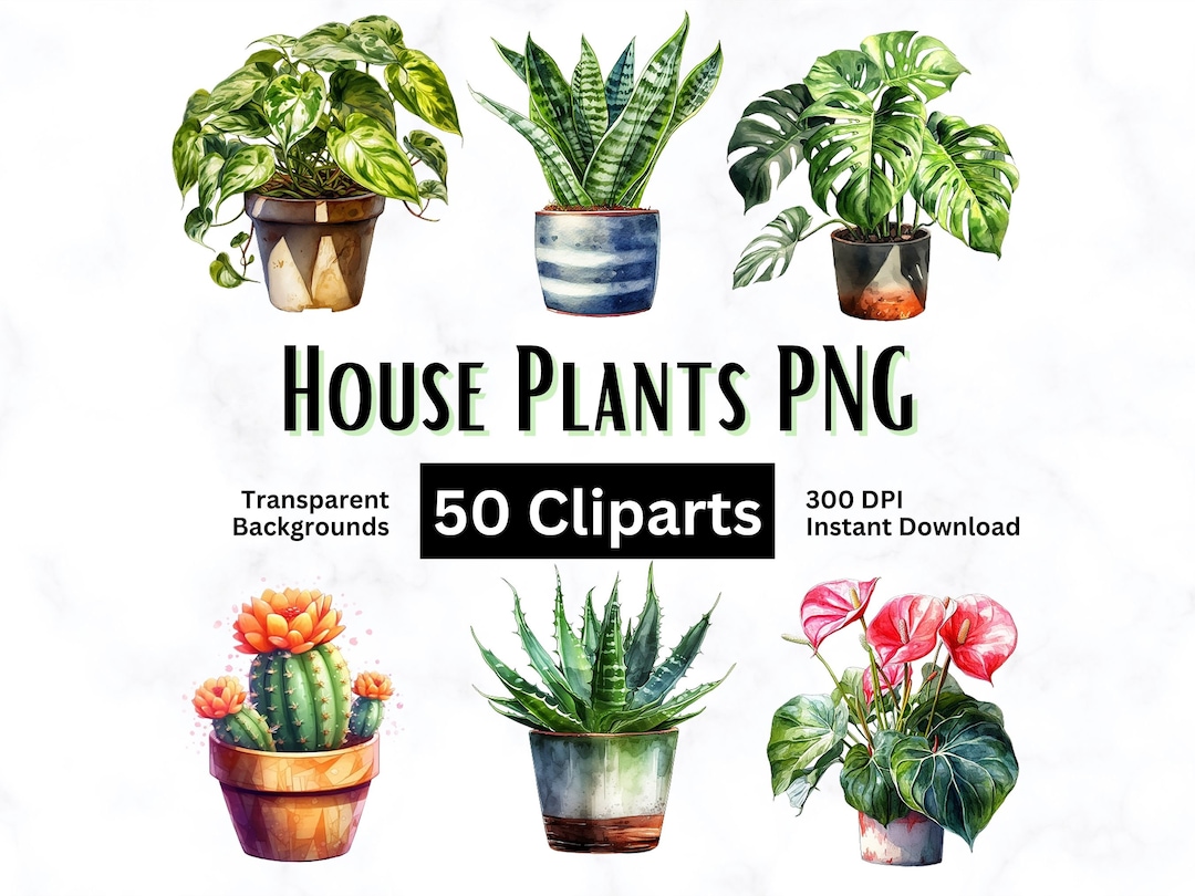 50 House Plants Clipart, PNG Transparent Background, Commercial Use ...