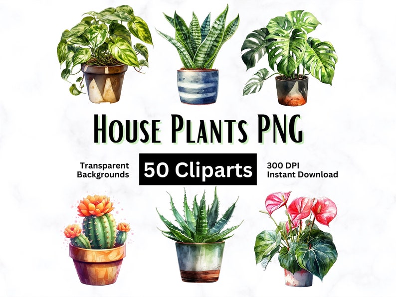 50 House Plants Clipart, PNG Transparent Background, Commercial Use ...