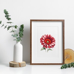 60 Watercolor Floral Clipart Collection, Transparent Background, 300 ...