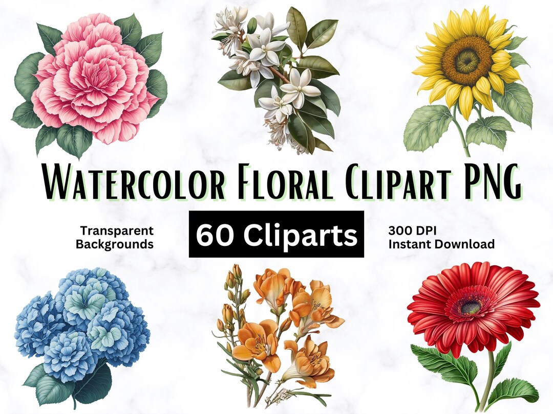 60 Watercolor Floral Clipart Collection Transparent - Etsy