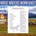 Horse Breeds Match Worksheet Fun Summer Camp Activity Horse Education ...
