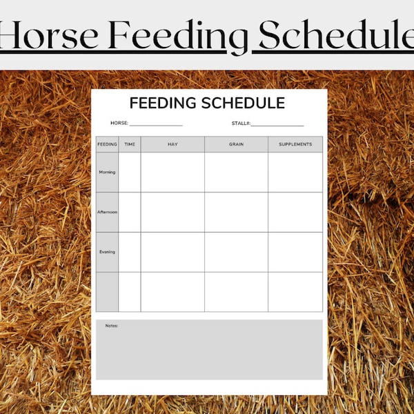 Feeding Schedule - Etsy