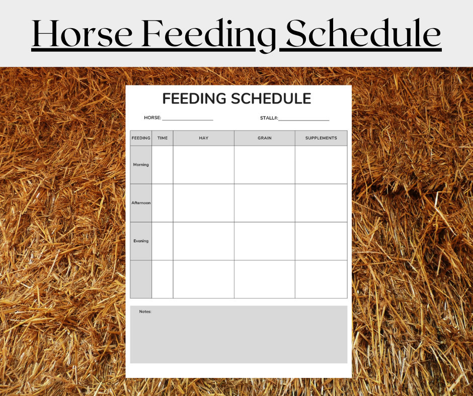 Horse Feeding Schedule - Etsy