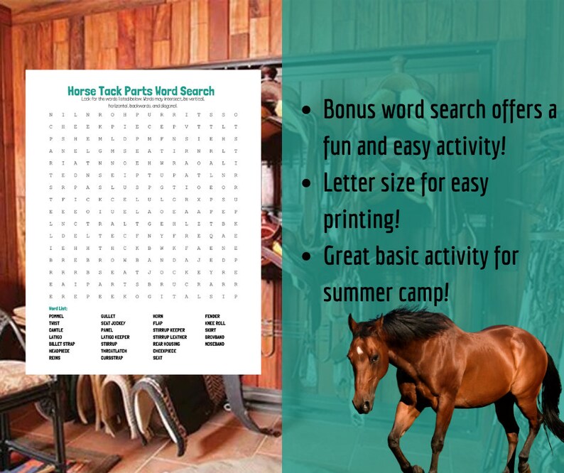 Horse Tack Worksheet | Tack Parts Diagrams Printable | Saddle & Bridle ...