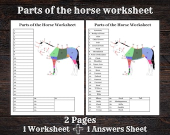 Parts of the Horse Hoof Worksheet | Horse Education | Horse Summer Camp ...
