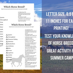 Horse Breeds Match Worksheet | Fun Summer Camp Activity | Horse ...
