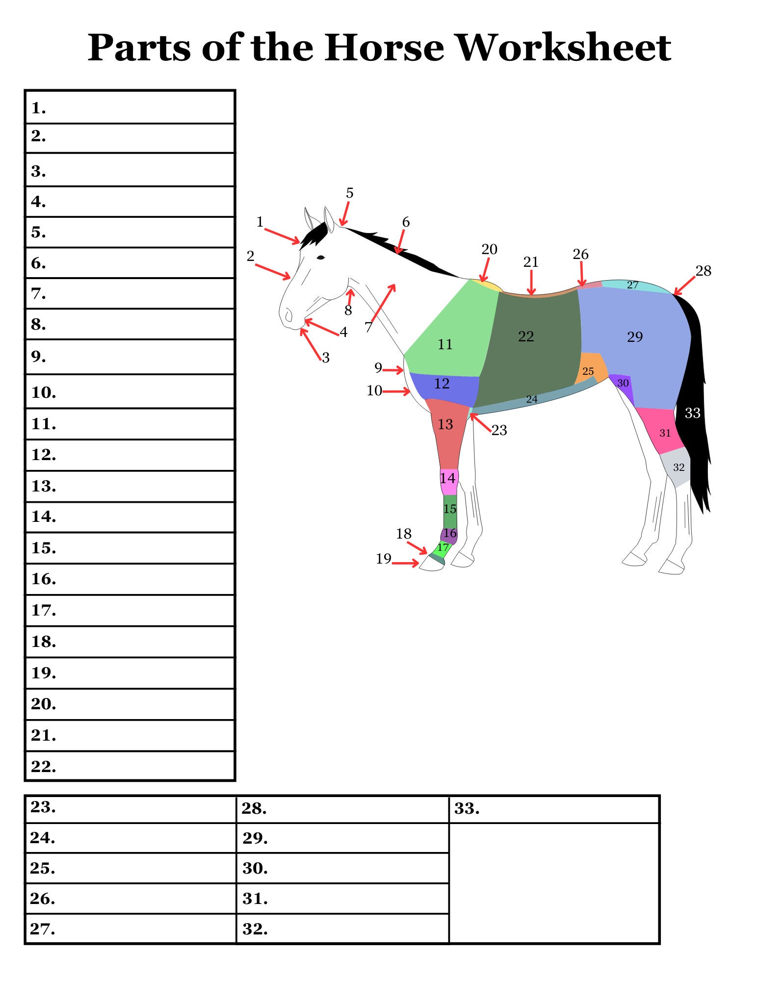 Parts of the Horse Worksheet - Etsy
