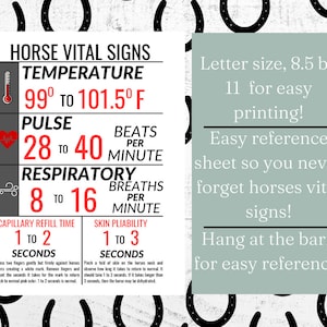 Horse Health Poster|horse Vital Signs - Etsy