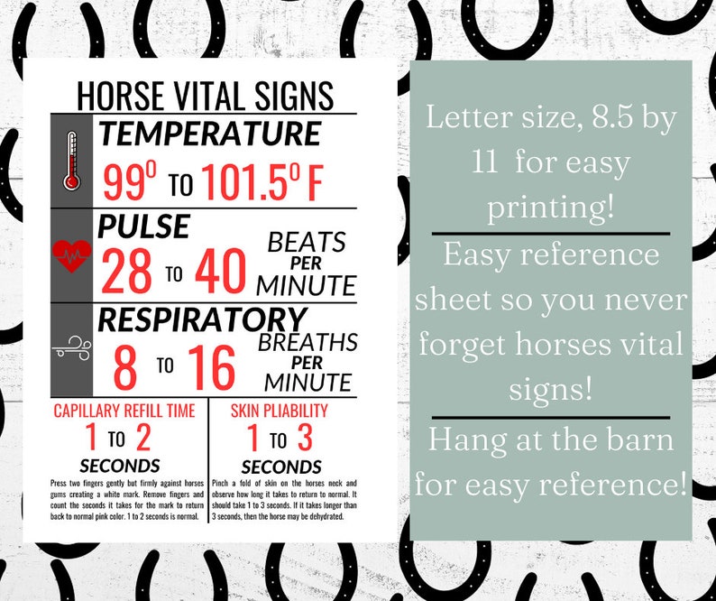 Horse Health Poster|horse Vital Signs - Etsy