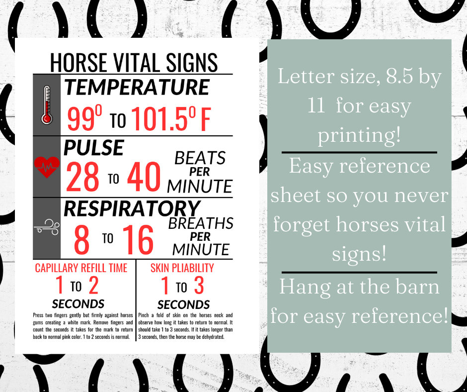 Horse Health Poster|horse Vital Signs - Etsy